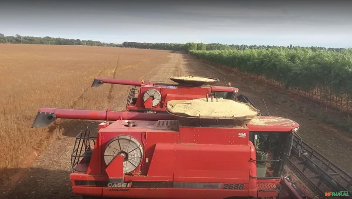 Fazenda A Venda Sinop | Preço Venda Compra - MF Rural