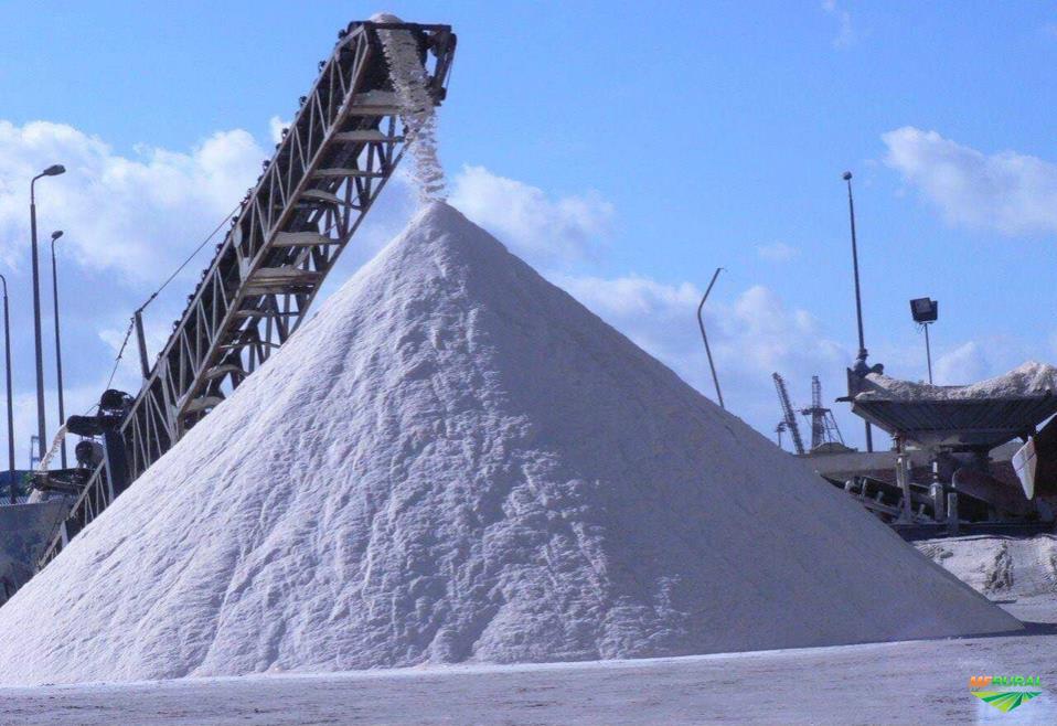 Sal Moído em São Paulo SP à venda. Compre direto do vendedor 414279