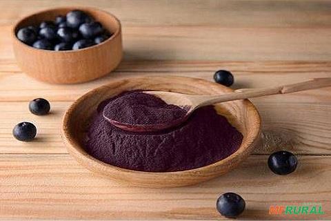 Açai em Po - Powder Acai - Organic or Conventional em Belém PA à 480238