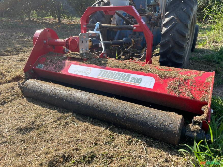 Trincha Kama | Preço Venda Compra - MF Rural