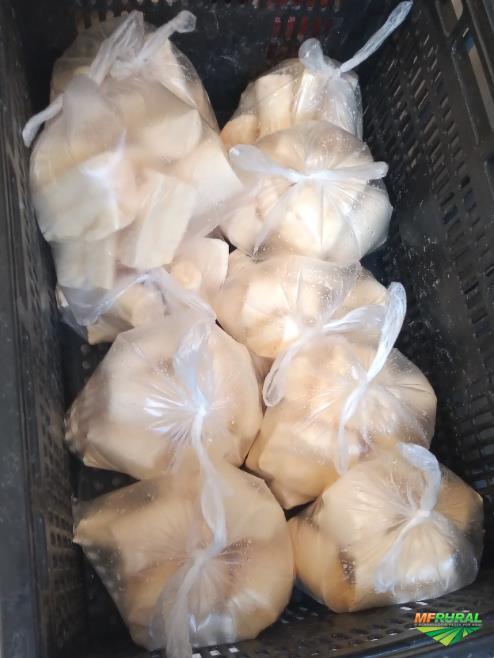 Mandioca Descascada em Osasco SP à venda. Compre direto 416887