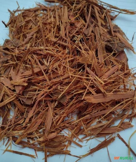Uxi à venda com preço Uxi