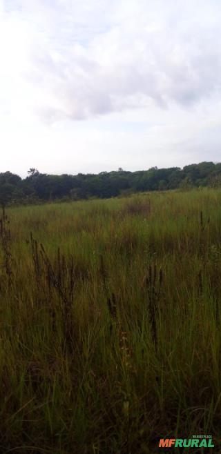 700 Hectares Próximo A Belém em Acará PA à venda. Compre direto 663566