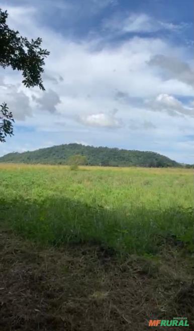 Hectares Gilbue no Rio de Janeiro - Fazendas / Imóveis Rurais