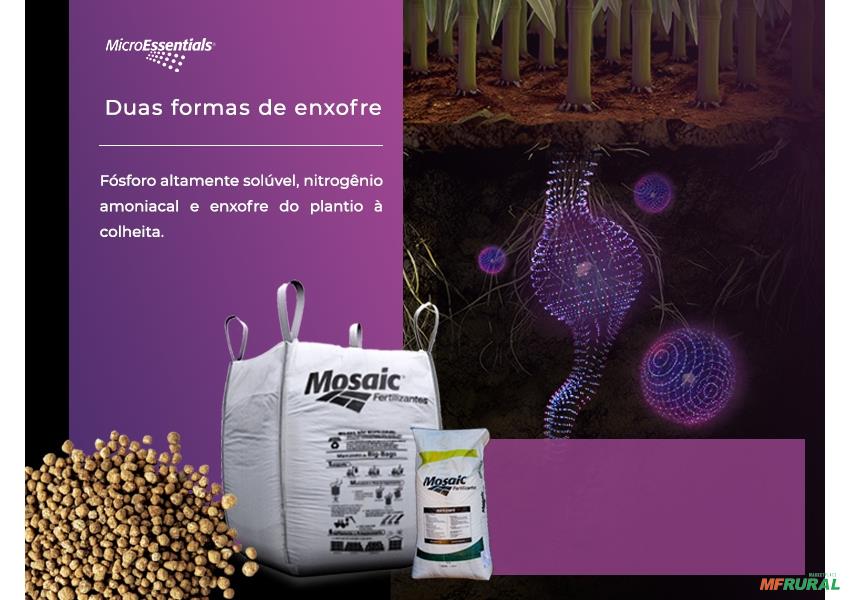 Microessentials | Preço Venda Compra - MF Rural