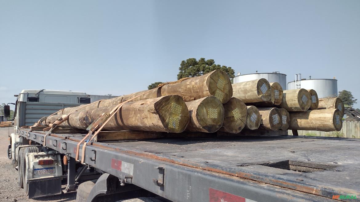 Palanque Roliço Tratado 6M em Ponta Grossa PR à venda. Compre 438836
