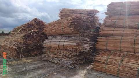 Madeira Louro Vermelho em Pernambuco - Instalações | Preço