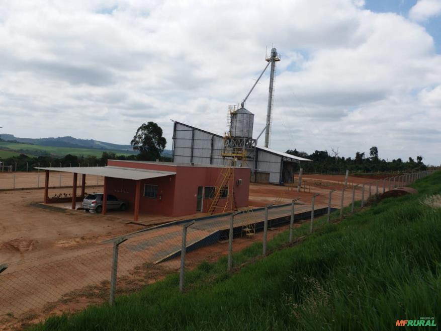 Estruturas Silo | Preço Venda Compra - MF Rural