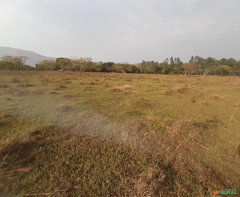 15 Hectares | Preço Venda Compra - MF Rural
