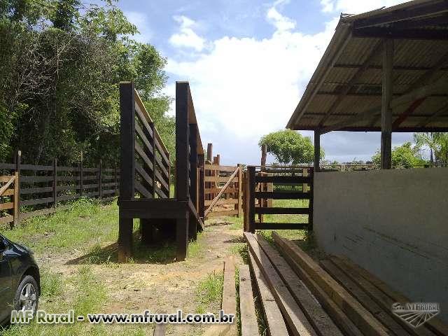 Curral Para Gado Bovino Completo Para 150 Animais em São Caetano 179716