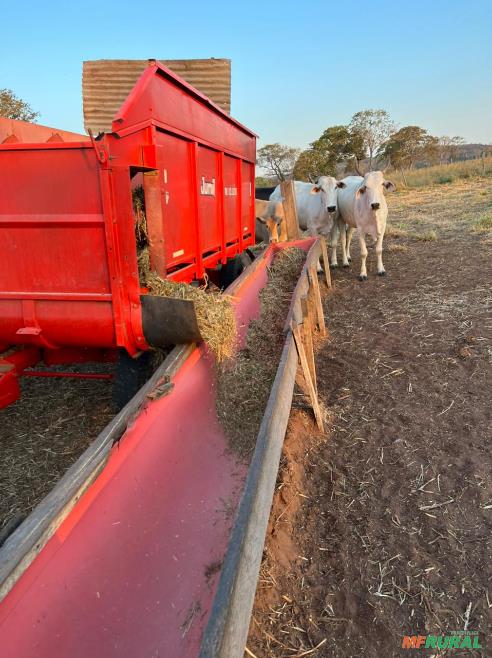 Cocho Para Gado em Piracicaba SP à venda. Compre direto 641543