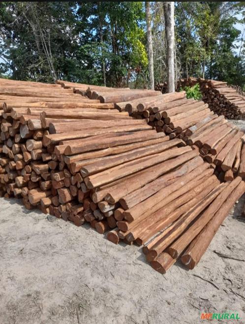 Estacas de Acapu em Porangatu GO à venda. Compre direto 439472