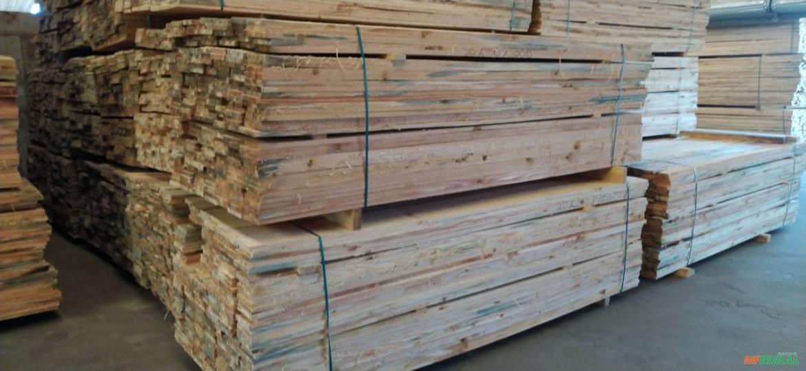 Vendo Madeira de Pinus em Itatinga SP à venda. Compre direto 443147