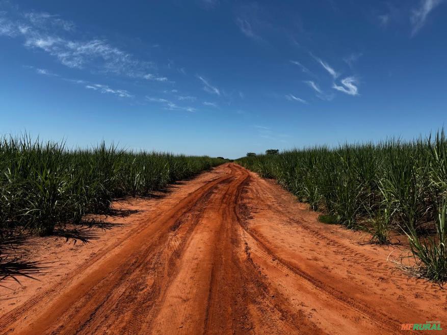 Fazenda no Triângulo Mineiro - 27 Alqueirão ou 130 Hectares - 853120