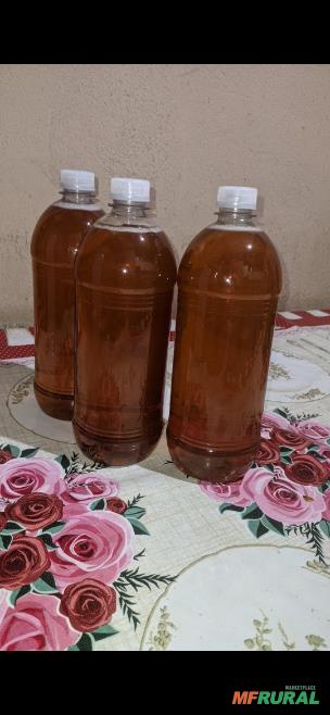 Mel Natural em Feira de Santana BA à venda. Compre direto 662327