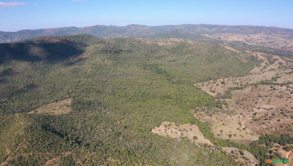 Vende se Fazenda em Goiás em Nova Iguaçu de Goiás GO à venda. 662553