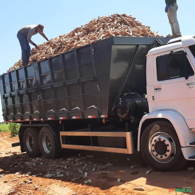 Caminhao Graneleiro | Preço Venda Compra - MF Rural