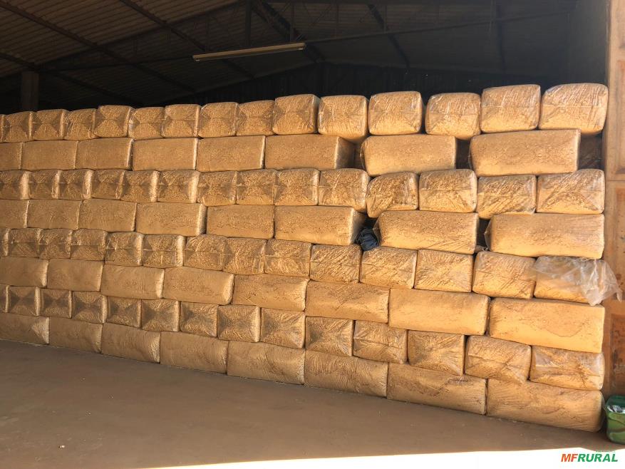 Fardo | Preço Venda Compra - MF Rural