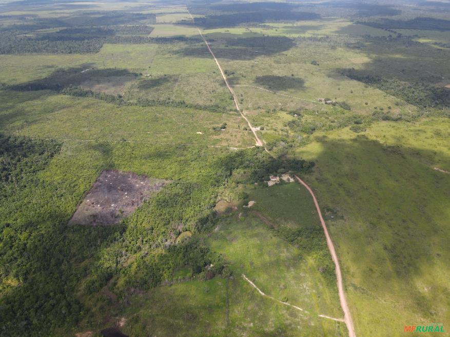 Hectares 500 Pre o Venda Compra MF Rural Hectares 500 Pre o Venda Compra MF Rural