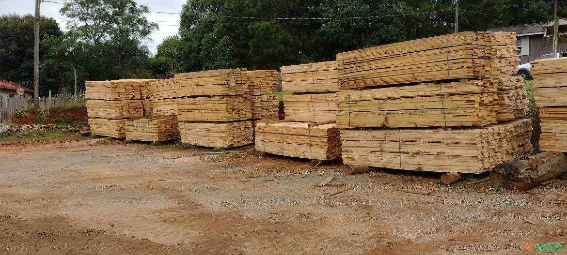Madeira Mts | Preço Venda Compra - MF Rural