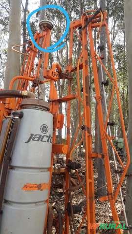 Venda Falcon Graves | Preço Venda Compra - MF Rural