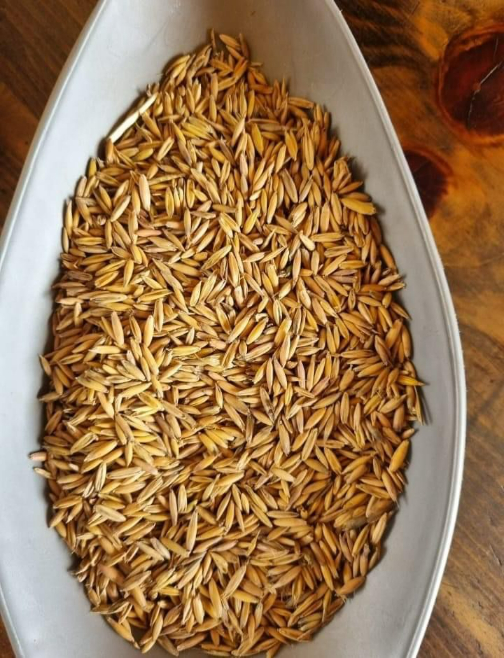 Aveia Branca em Perdões MG à venda. Compre direto do vendedor 648740