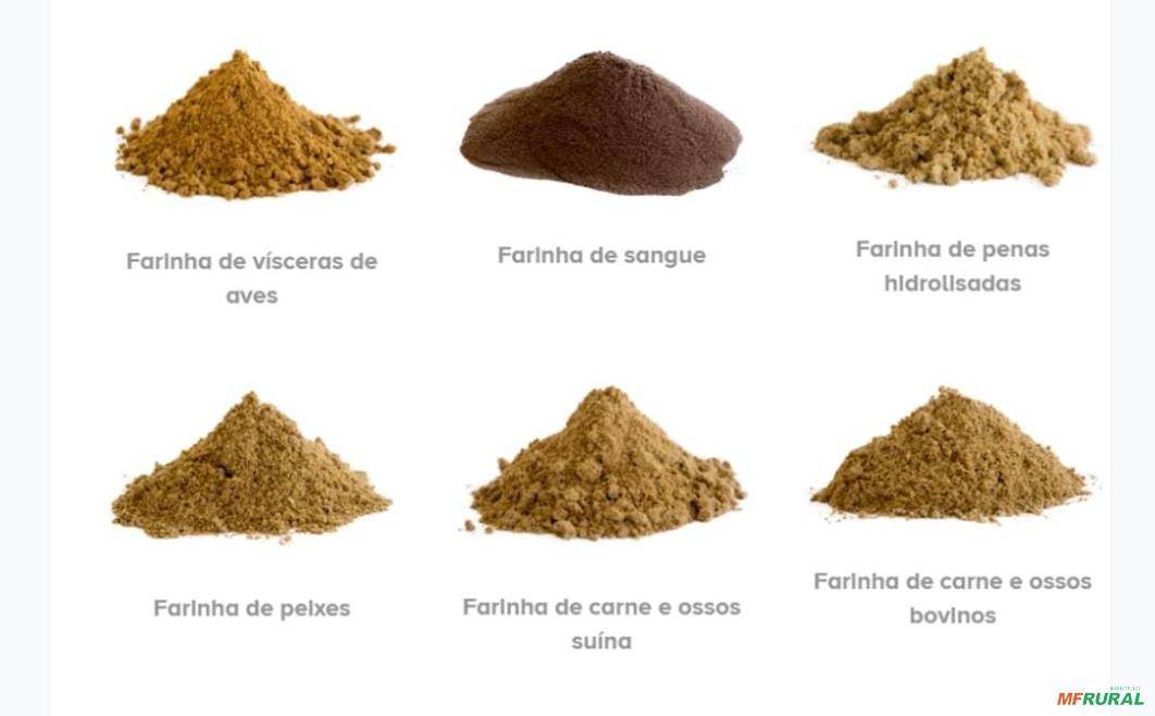 Vendo Todos Os Tipos De Farinha Em Nova Esperan a PR Venda 605748 vendo-todos-os-tipos-de-farinha-em-nova-esperan-a-pr-venda-605748