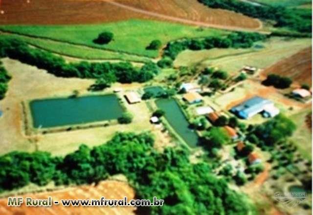 Maravilhoso Sítio Para Ecoturismo ou Moradia em Franca SP à 168822