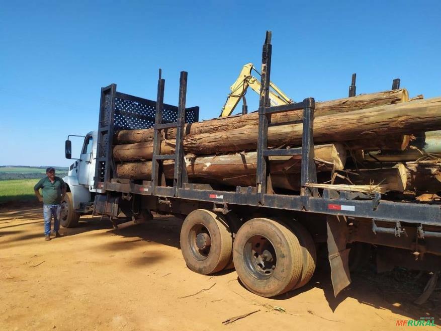 Caminhao Fueiros | Preço Venda Compra - MF Rural