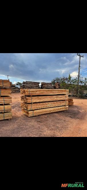 Madeira Champanhe | Preço Venda Compra - MF Rural