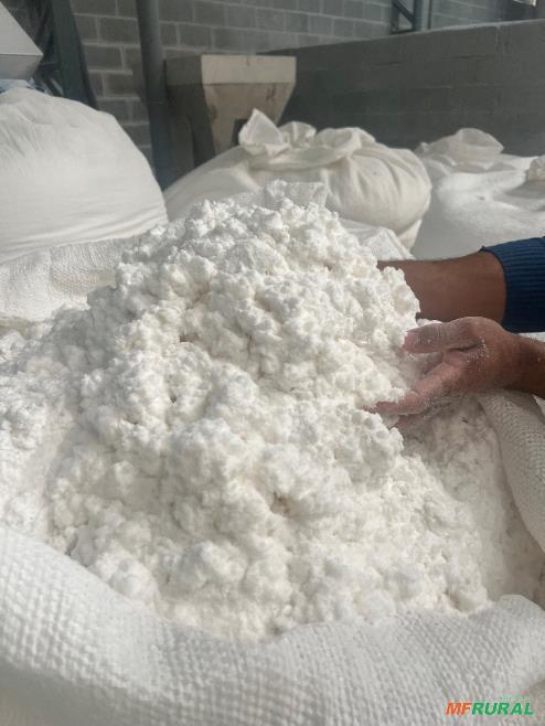 Celulose Longa | Preço Venda Compra - MF Rural