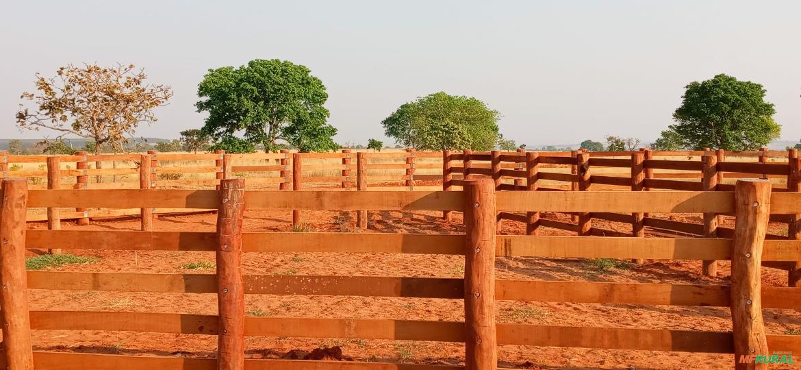 Curral | Preço Venda Compra - MF Rural