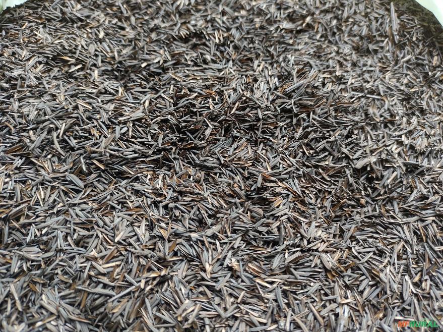 Casca de Arroz Carbonizada em Montenegro RS à venda. Compre 625712