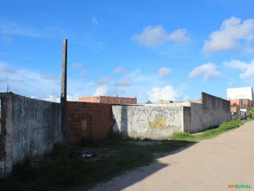Aio Runtimes 2024 Download Media Fire em Sergipe | Preço Venda