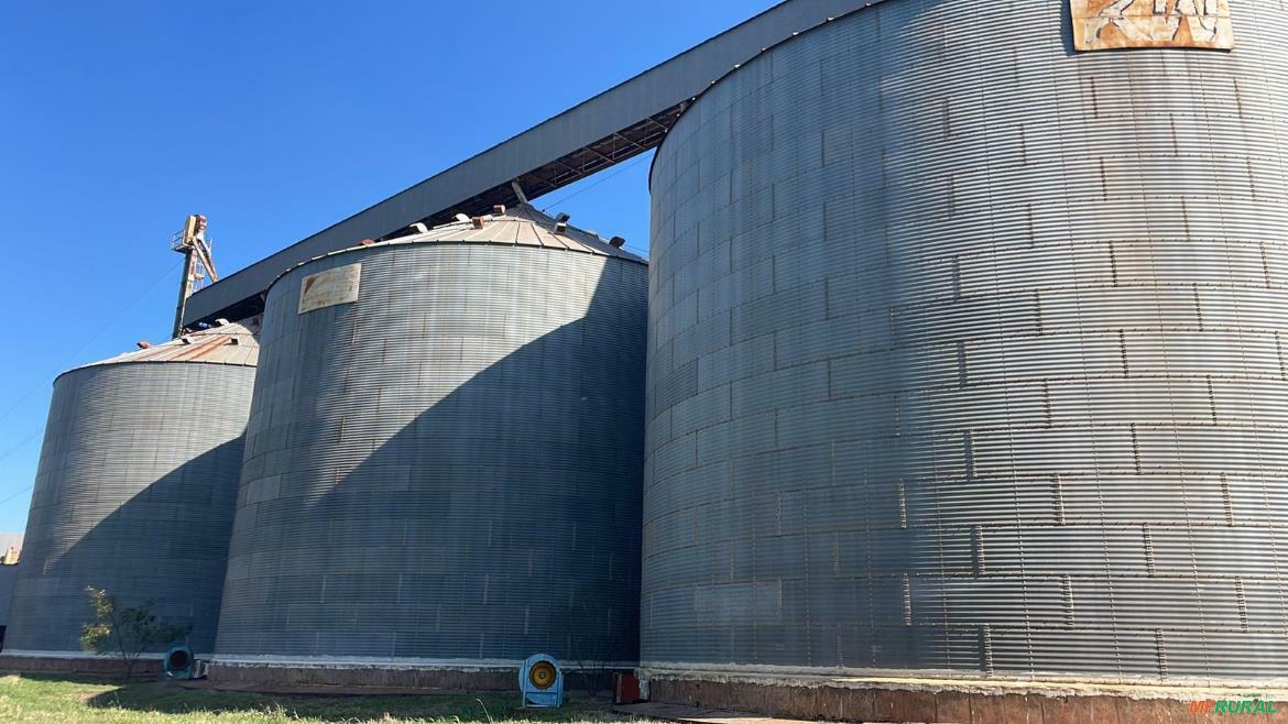 Silo Kepler Weber | Preço Venda Compra - MF Rural
