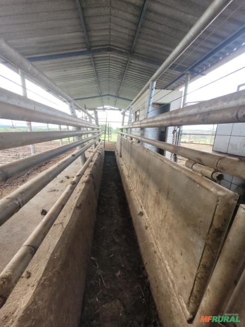 Curral Curral 25 X 25 Metros em Pedregulho SP à venda. Compre 643885