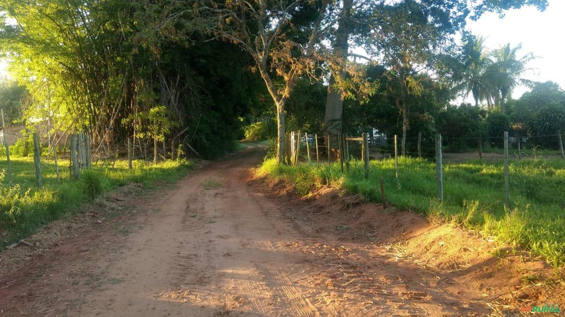 Arrendamento de Terra Família Trevisan em Ubirajara SP à venda. 632049