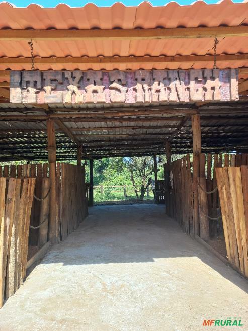 Cocheira | Preço Venda Compra - MF Rural