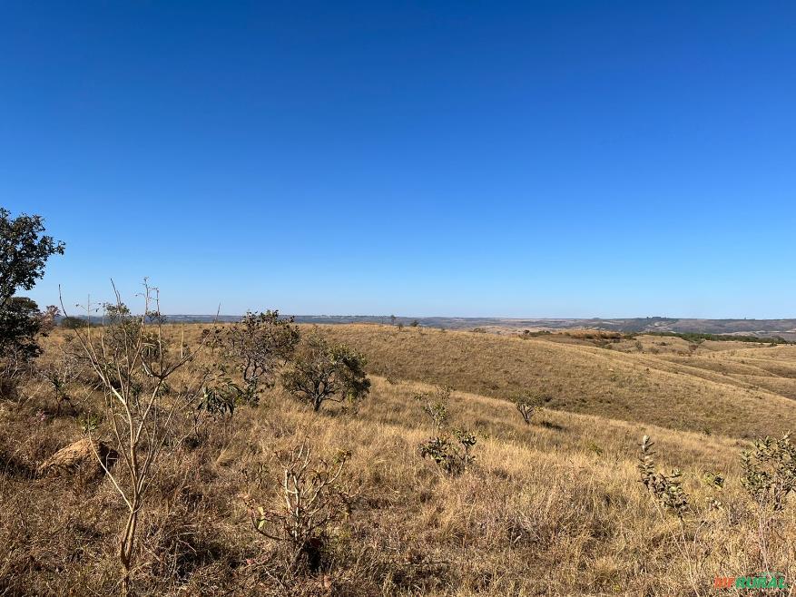 Arrendo Área em Patos de Minas - 700 Hectares em Patos de Minas 636041