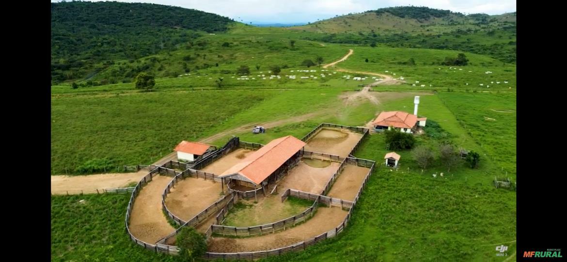 Parceria Para Plantio de Milho E Soja em 300 Hectares. em Cumaru 637843