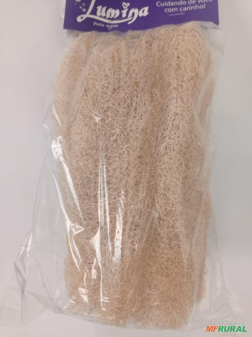 Bucha Grande | Preço Venda Compra - MF Rural