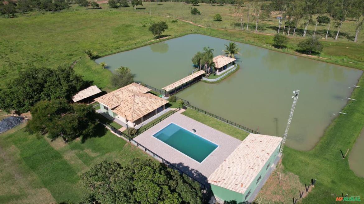 Buritis Disjuntor Bh | Preço Venda Compra - MF Rural