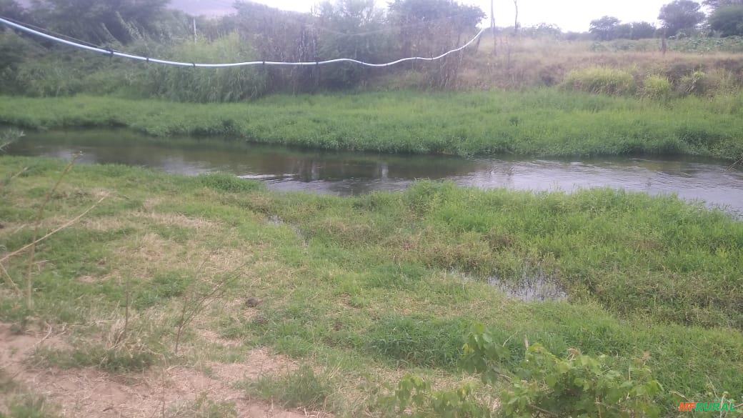 Propriedade Rural em Caraúbas PB à venda. Compre direto 642172