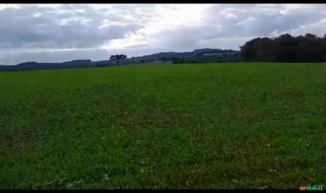 Inferencias Semanticas en Los Textos A Nivel Local Y - MF Rural