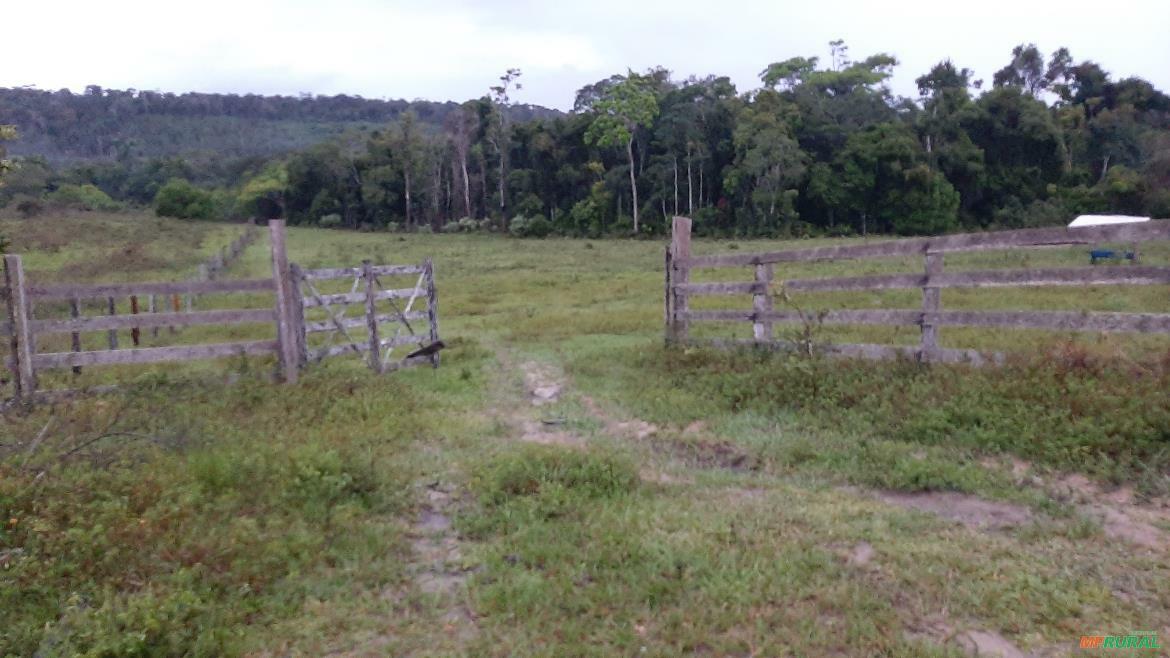 Vende Uma Fazenda 500 Hectares em Santa Luzia BA à venda. Compre 646080