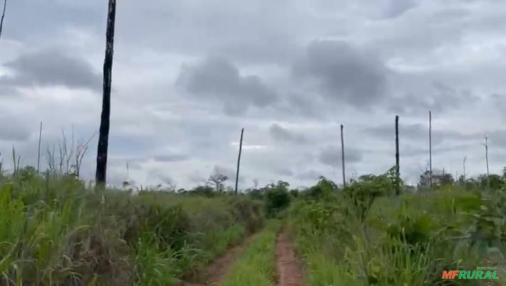 Fazenda no Pará Com 13.600 Hectares em Castelo dos Sonhos 649088