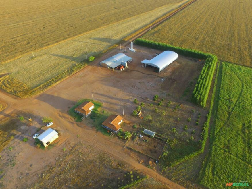 Fazenda Gaúcha do Norte mt Com 3.600 Hectares em Gaúcha do Norte 649728