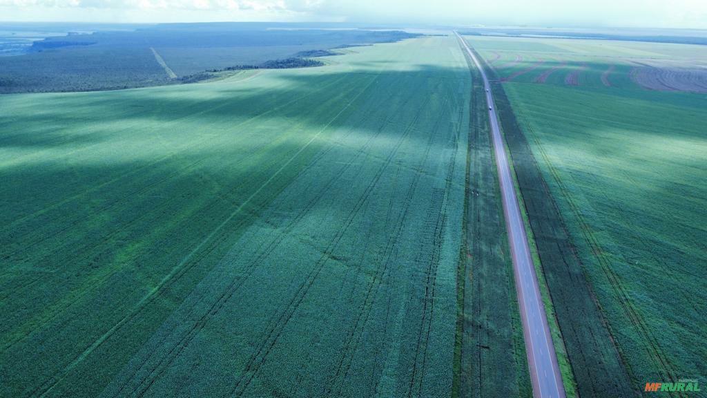 Fazenda na Região Diamantino mt Com 5.600 Hectares em Diamantino 791123