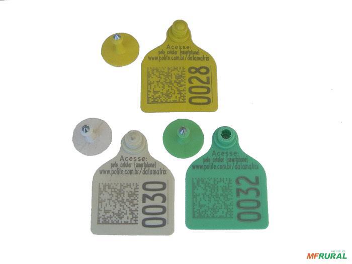 Cj Brinco Grande Polite qr Code E Macho Com Ponta Metálica - 851702
