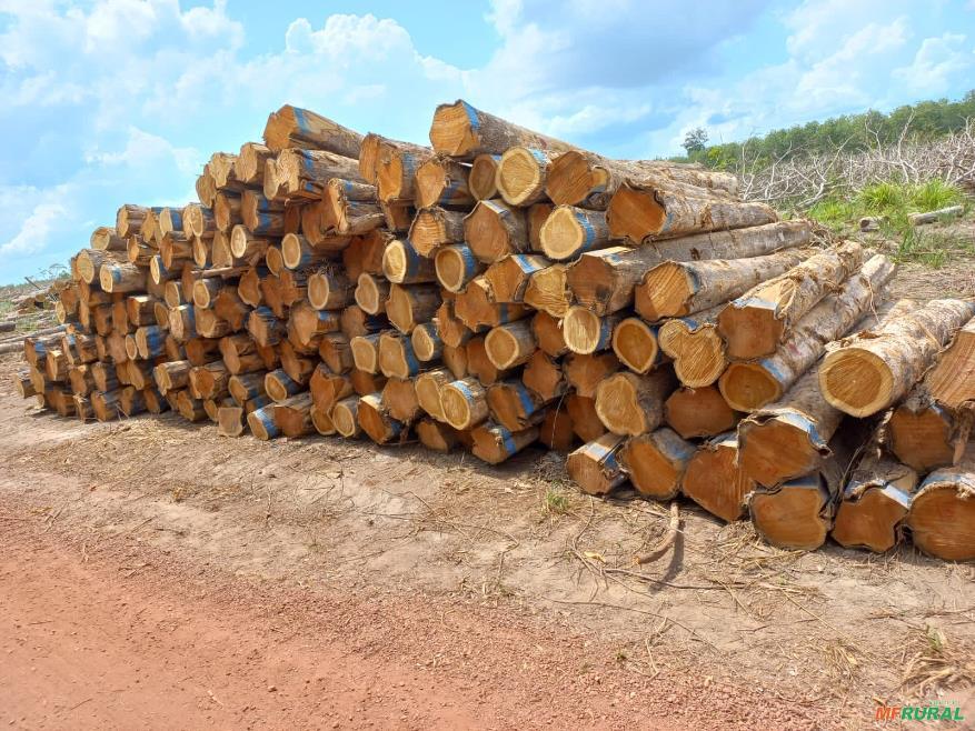Madeiras no Pará à venda com preço